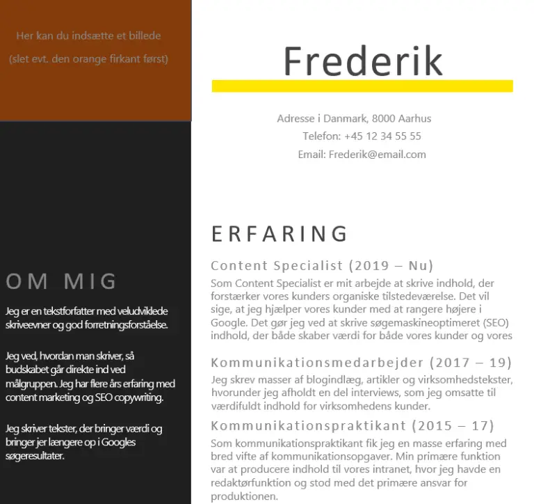 CV-eksempel | Få 3 CV-eksempler GRATIS lige her